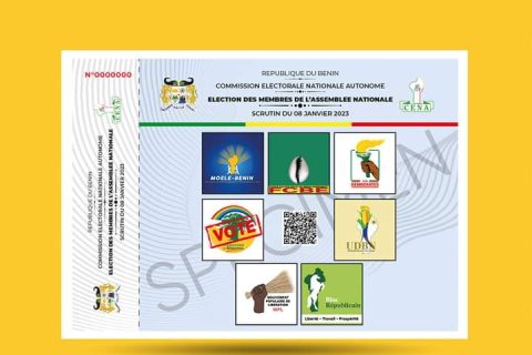 Présidentielle Bénin 2026 : Paul Hounkpè promet le kilo d’aileron à 1 ...
